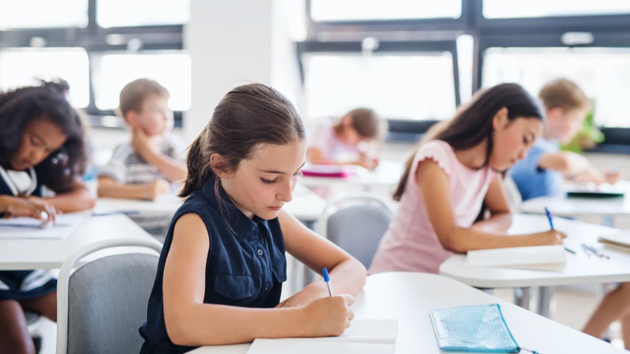 Schools in Germany | Handbook Germany : Together